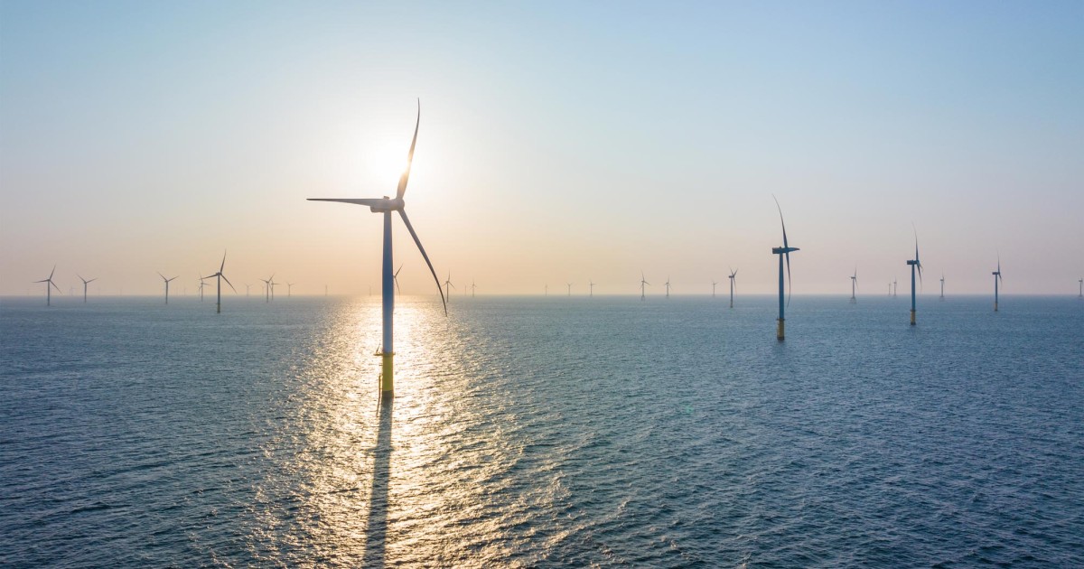 Our offshore wind future: Taranaki committed to industry development in ...